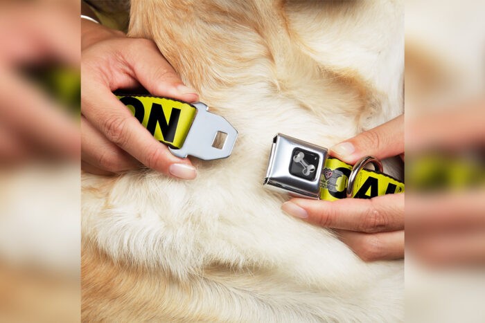 Soutěž: Kvalitní obojek a vodítko Buckle-Down s filmovou tematikou ...